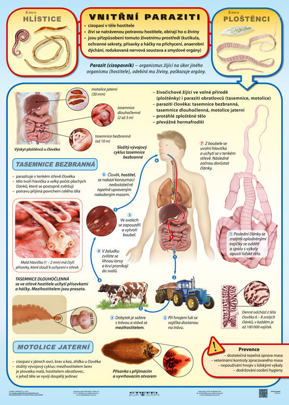 Vnitřní paraziti - tabulka A4 | SEVT.cz